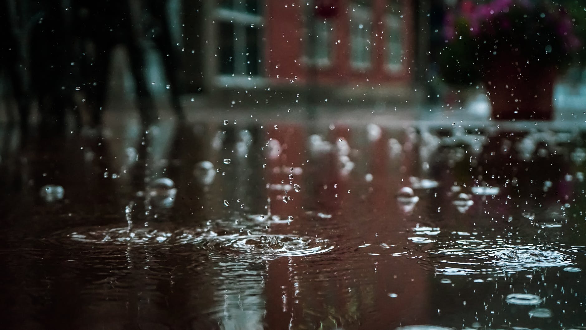 God’s Rain Falls on the Just and the Unjust – Christ Leads The Way